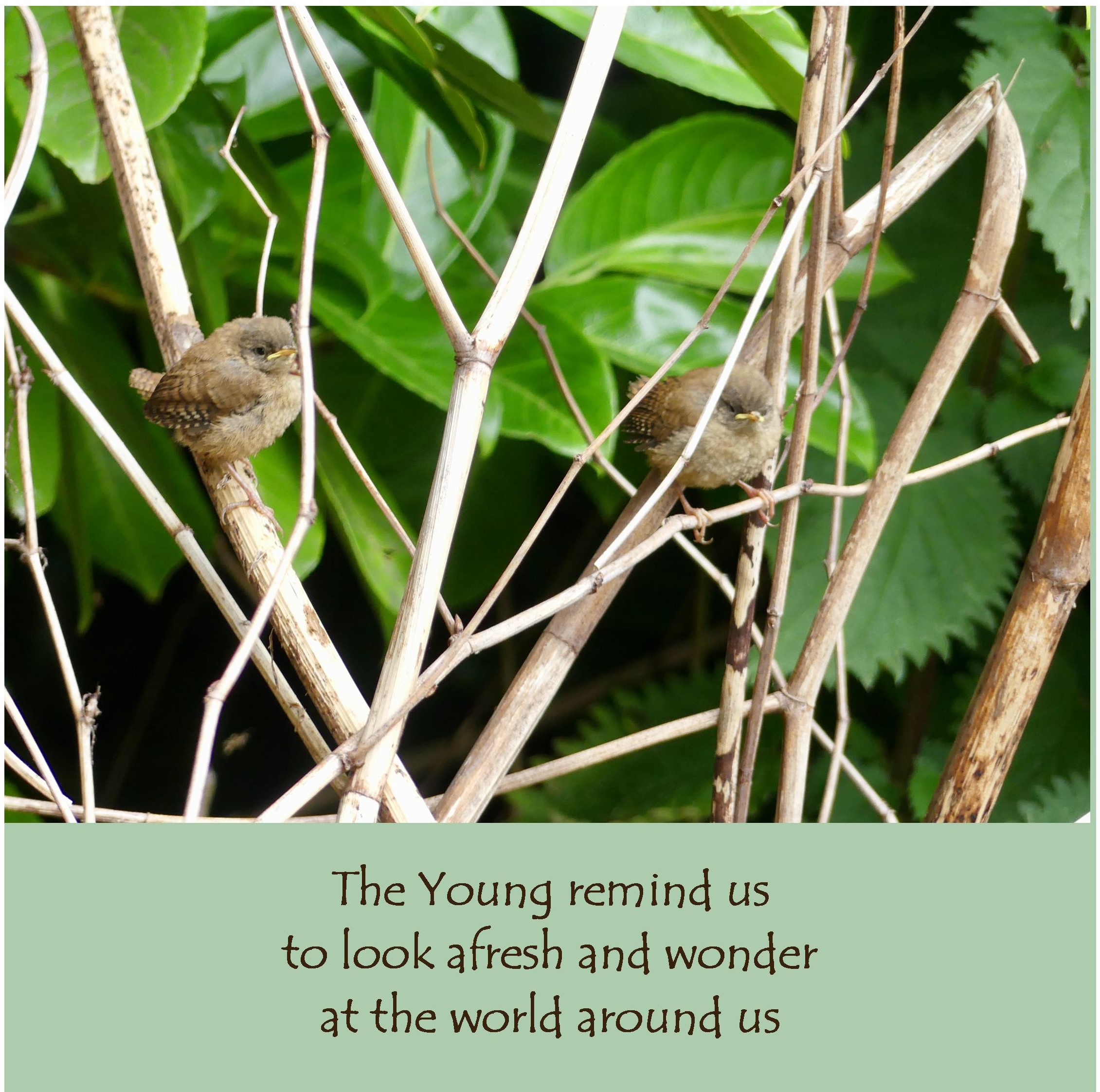 Looking afresh at the world – Mr G's Ponderings