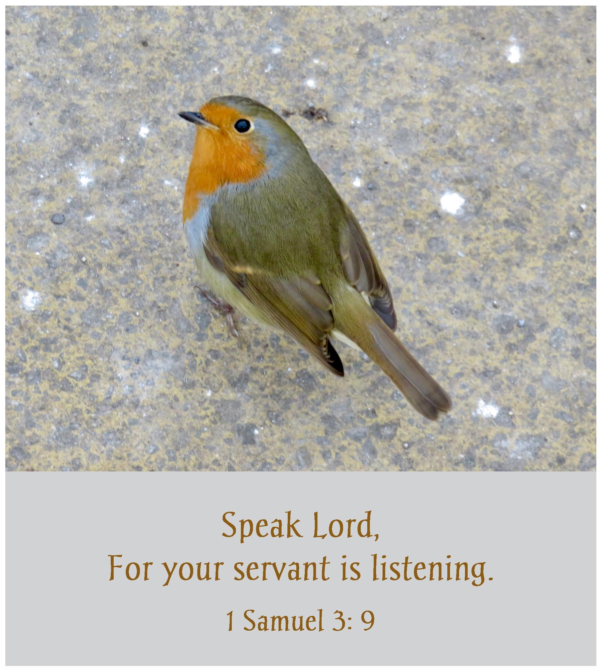 Speak Lord – Mr G's Ponderings