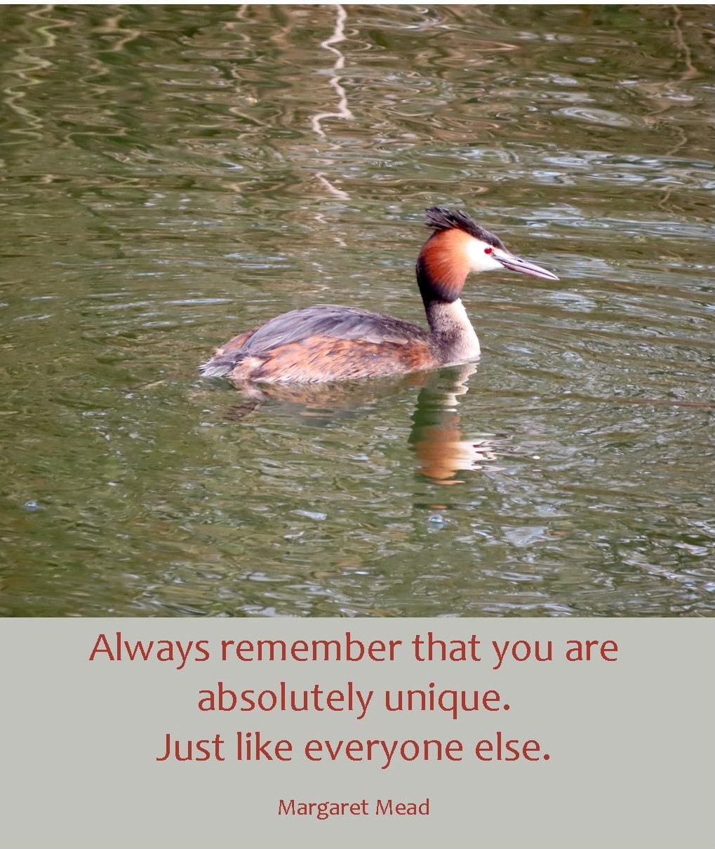 Special and unique – Mr G's Ponderings