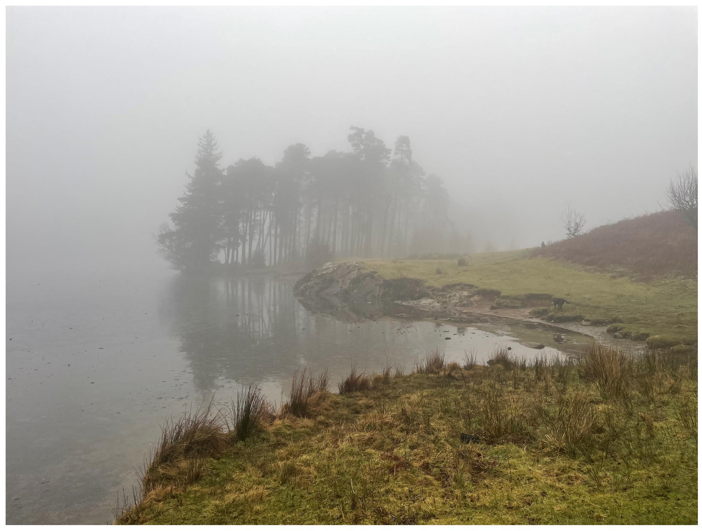 Through a glass, darkly – Mr G's Ponderings