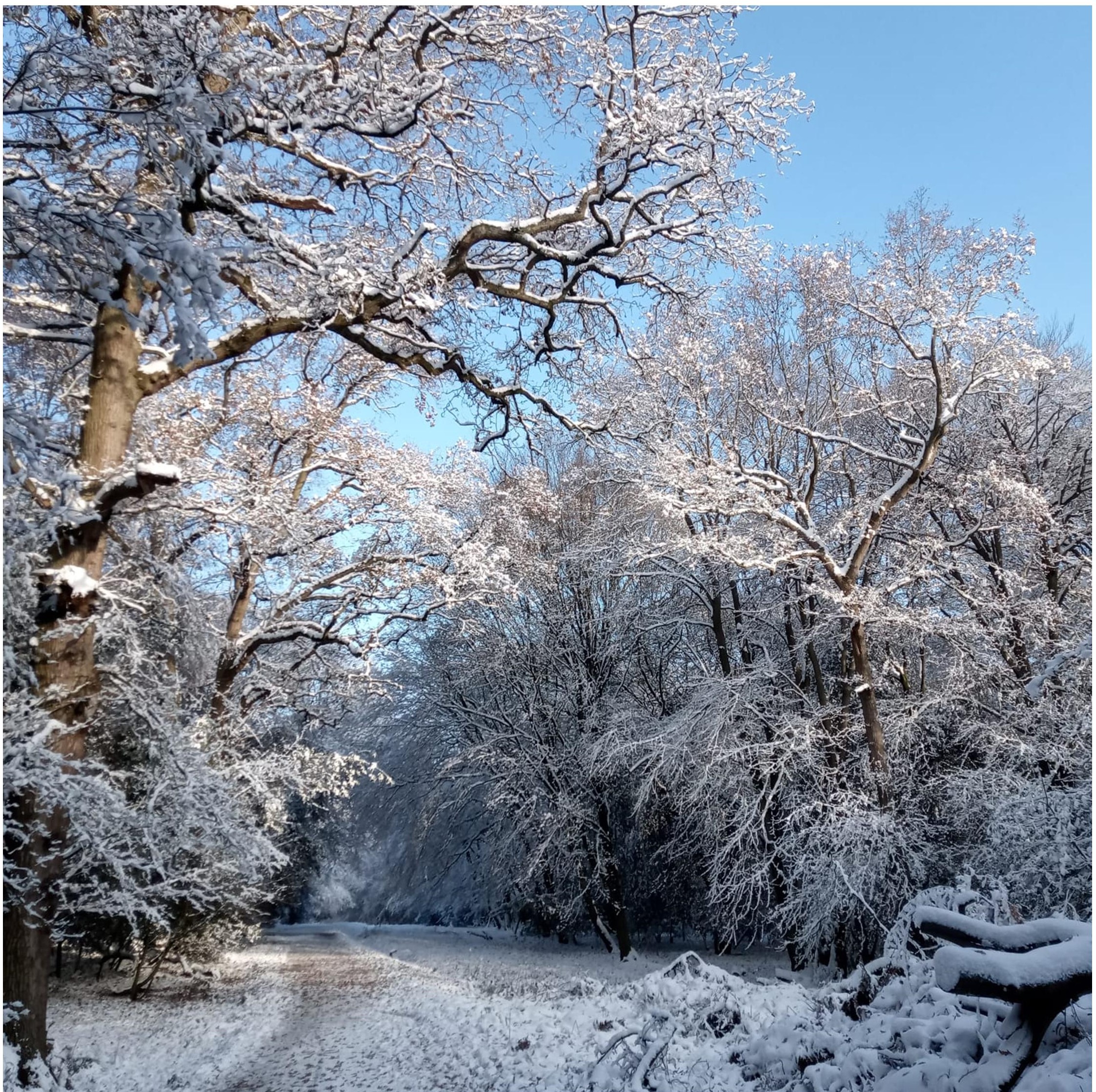 Soul-warming – Mr G's Ponderings
