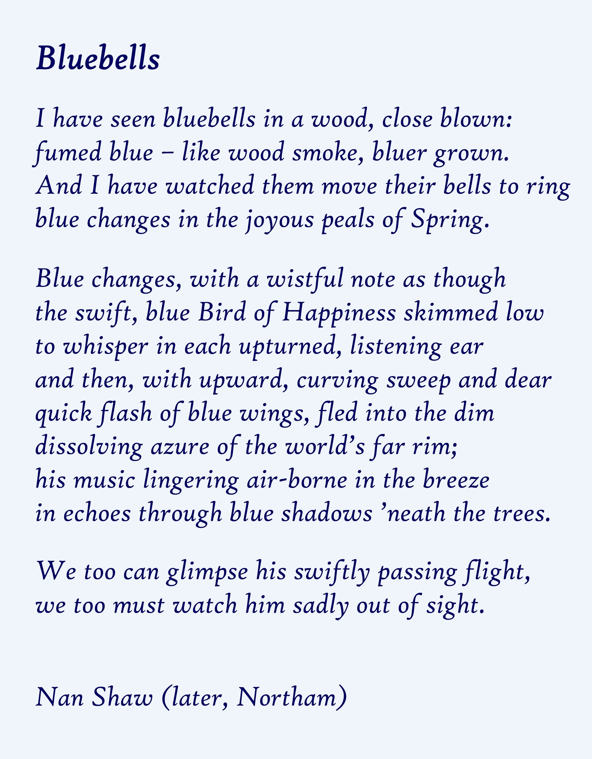 Blue in Spring – Mr G's Ponderings