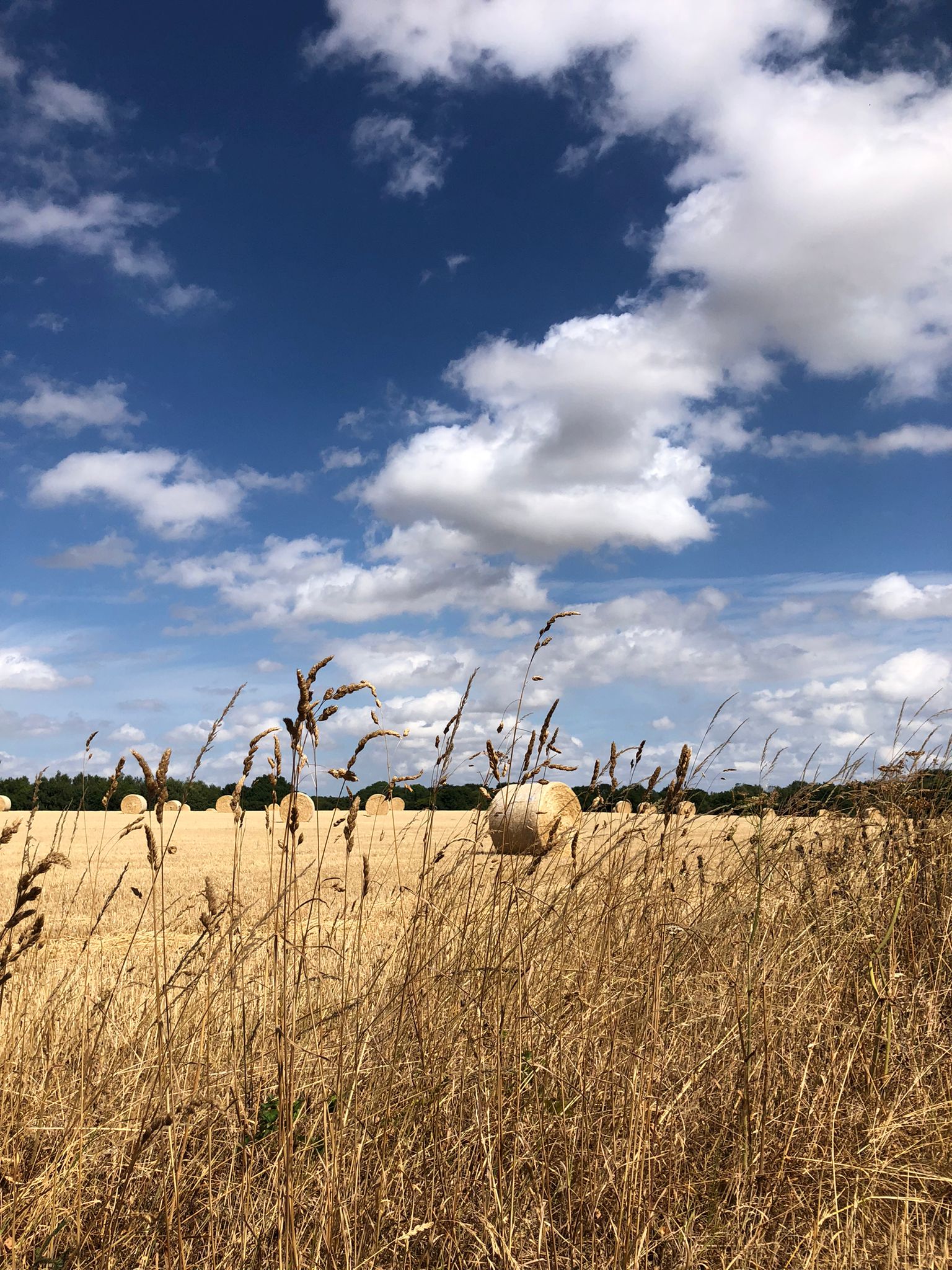 Mr Deakins’ Bread – Mr G's Ponderings