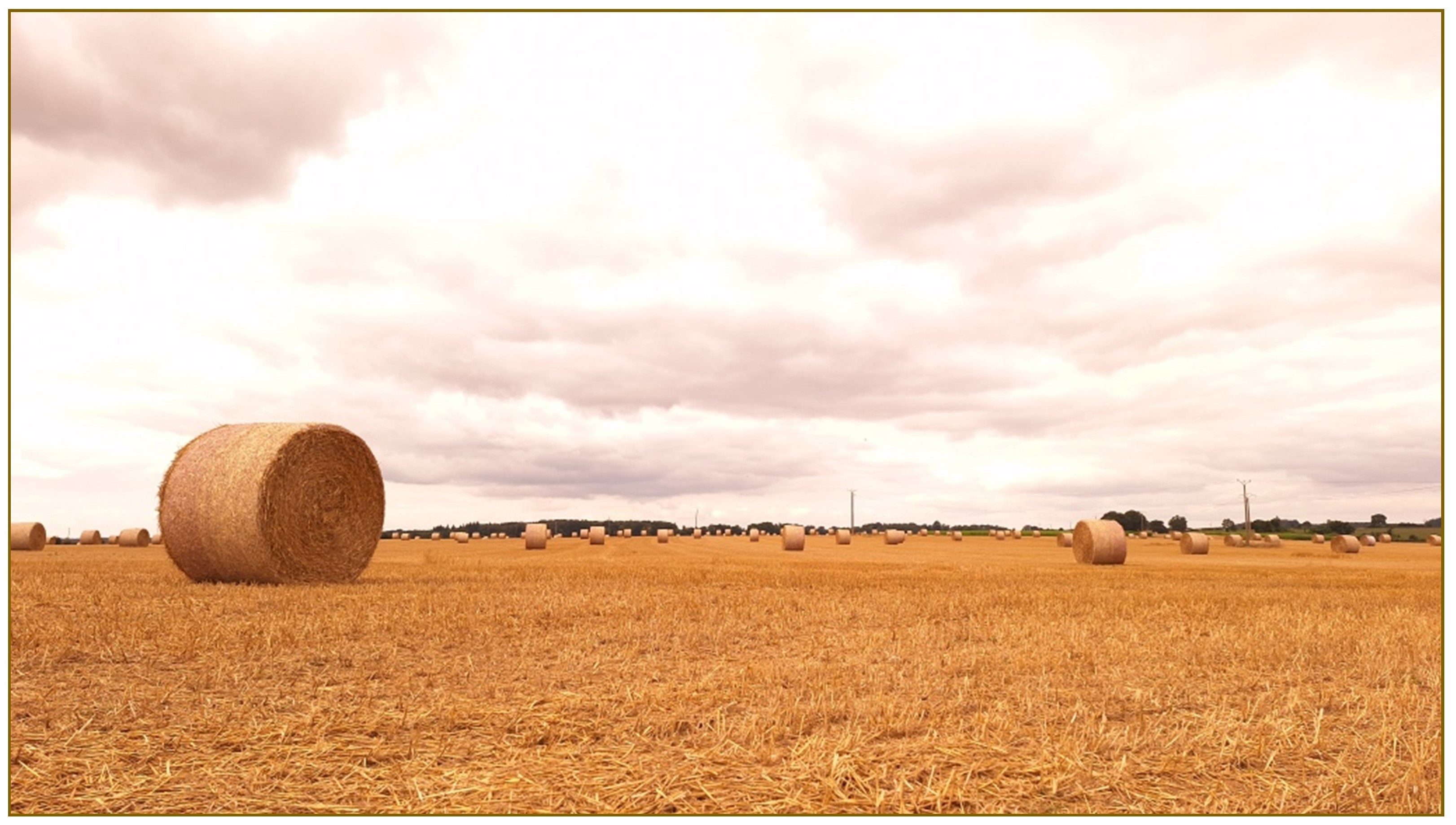Our Common Home – Mr G's Ponderings