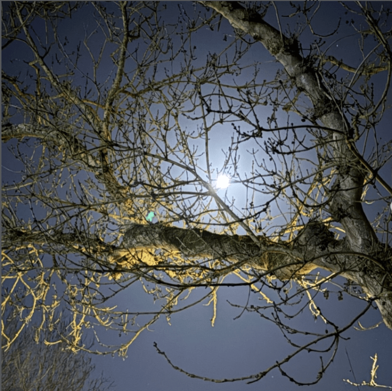 Moon & Stars – Mr G's Ponderings